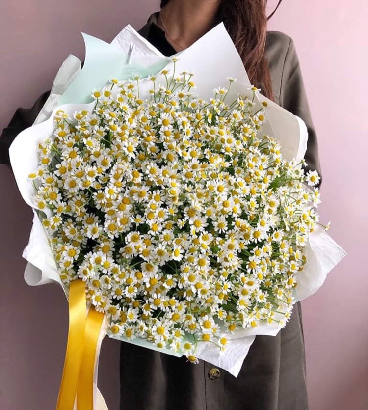 Ромашка польова - Доставка - Flowers De Lux